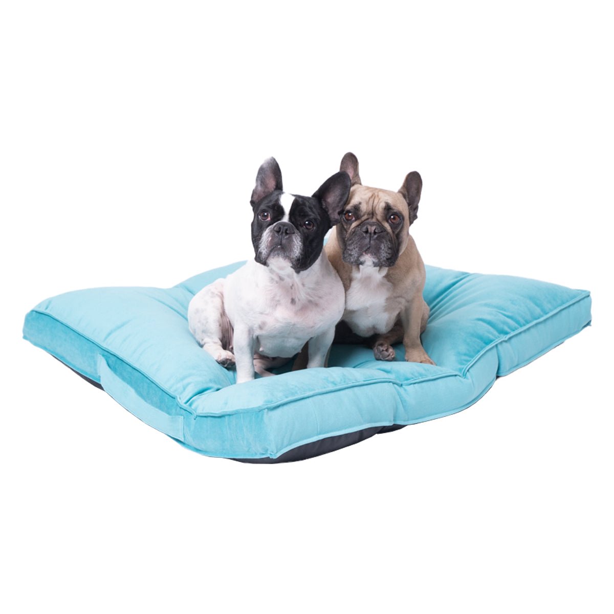 Cama Capitone turquesa | Lider