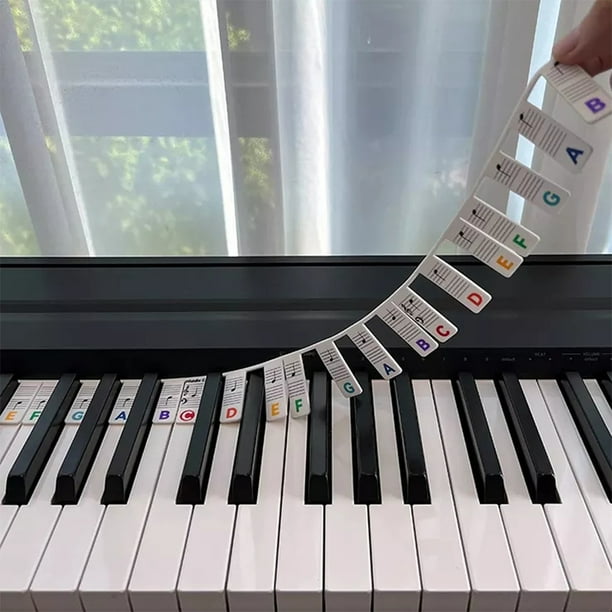 Rainbow-Colored Silicone Piano Keyboard Note Labels - A Beginner's ...