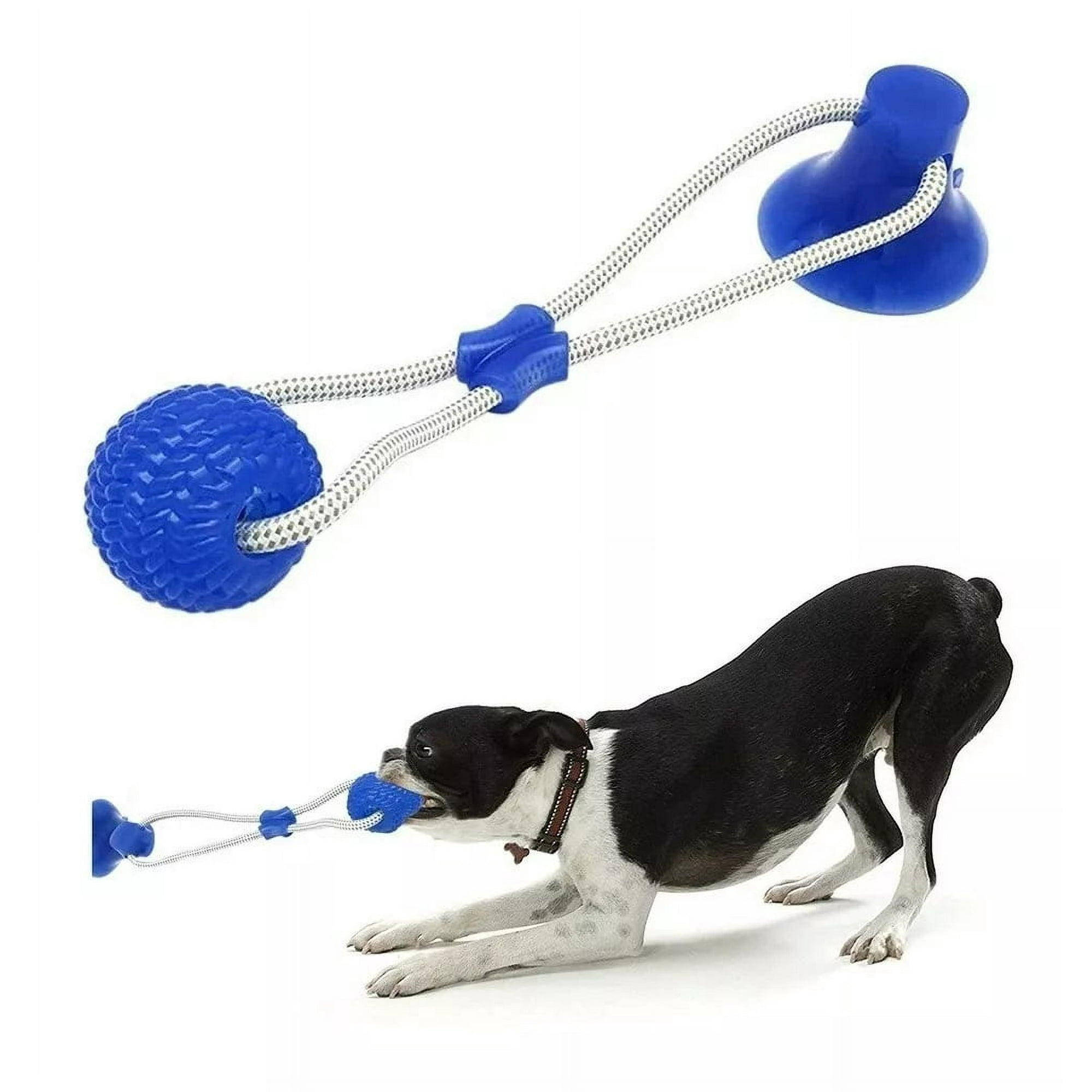 Juguete De Cuerda Para Perros Con Chupón, Azul | Lider