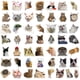 Stickers Jaurney 100 piezas impermeables de memes de perros y gatos | Lider