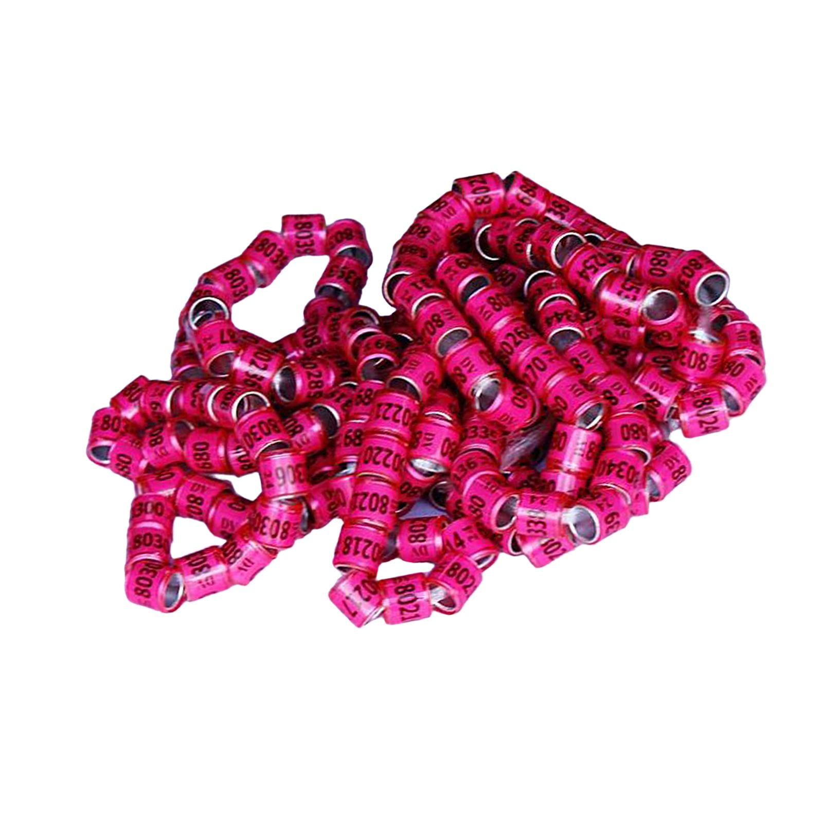 100 piezas de anillos de pierna de paloma 2024, correas de ...