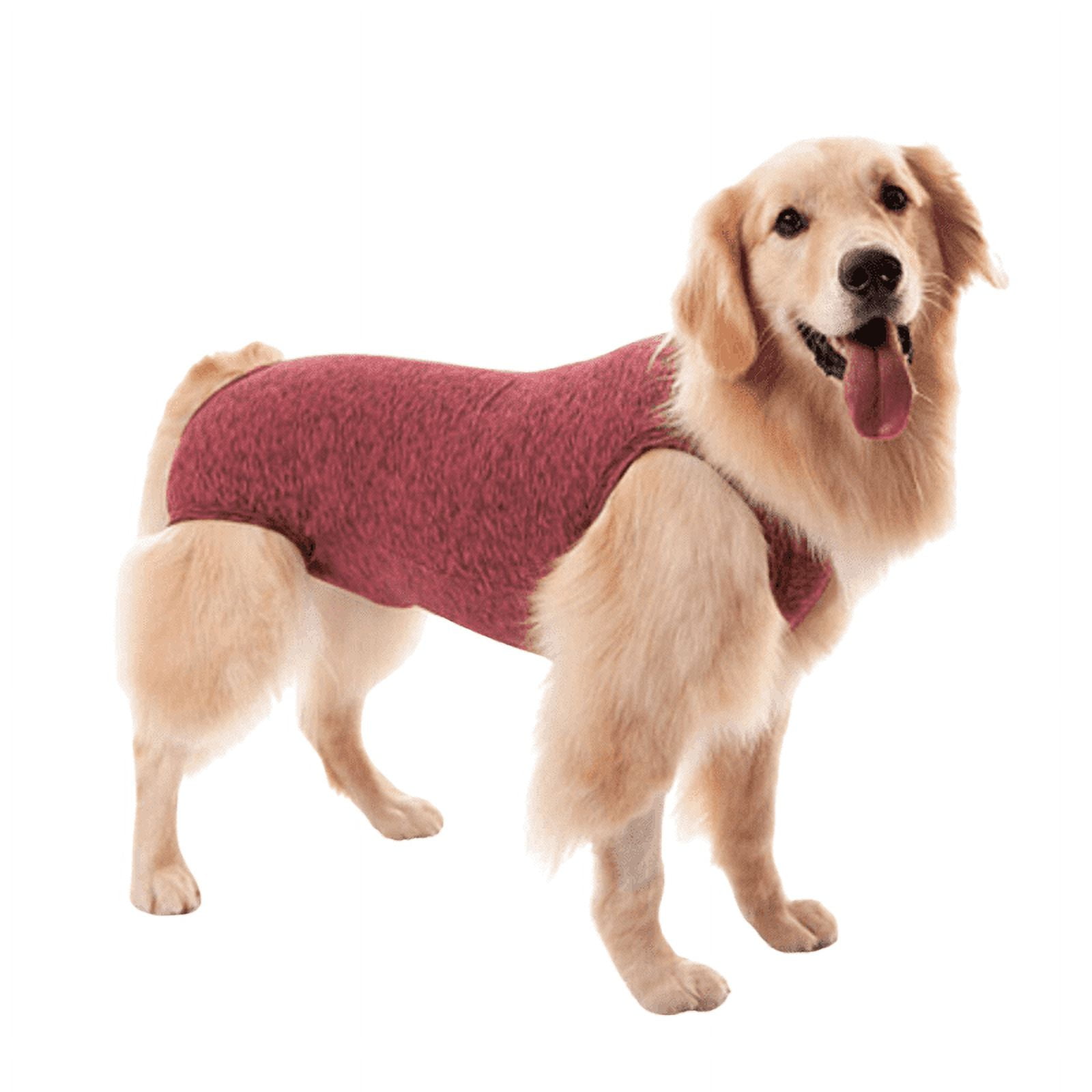 Body Post Quirúrgico para Perros T6 - 8 a 10 KG. - Rojo | Lider