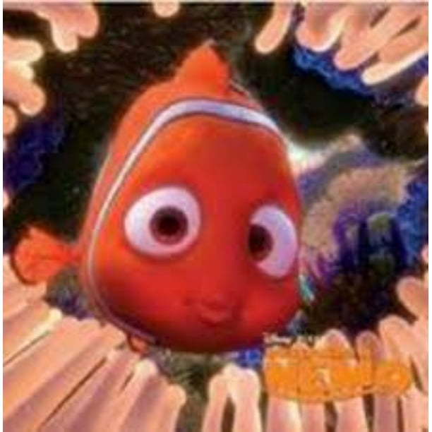Buscando A Nemo | Lider