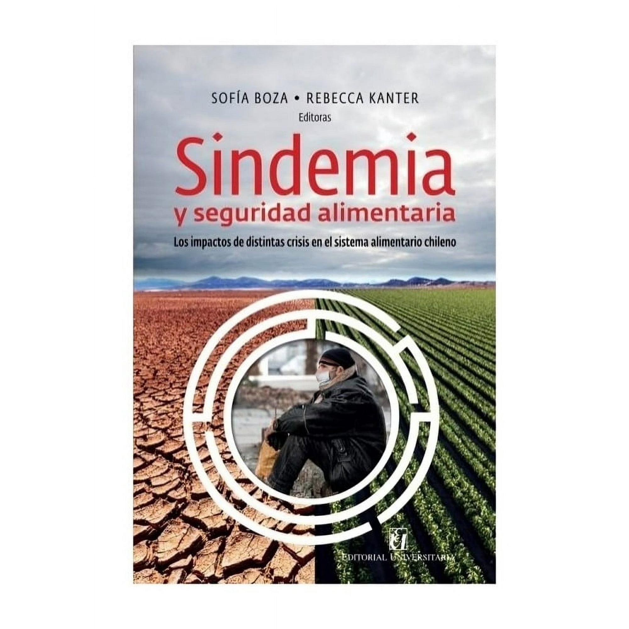 Libro Sindemia Y Seguridad Alimentaria /sofía Boza - Rebecc | Lider
