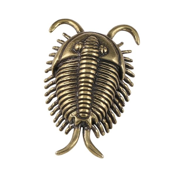Adorno Trilobites Mini Bronce | Lider