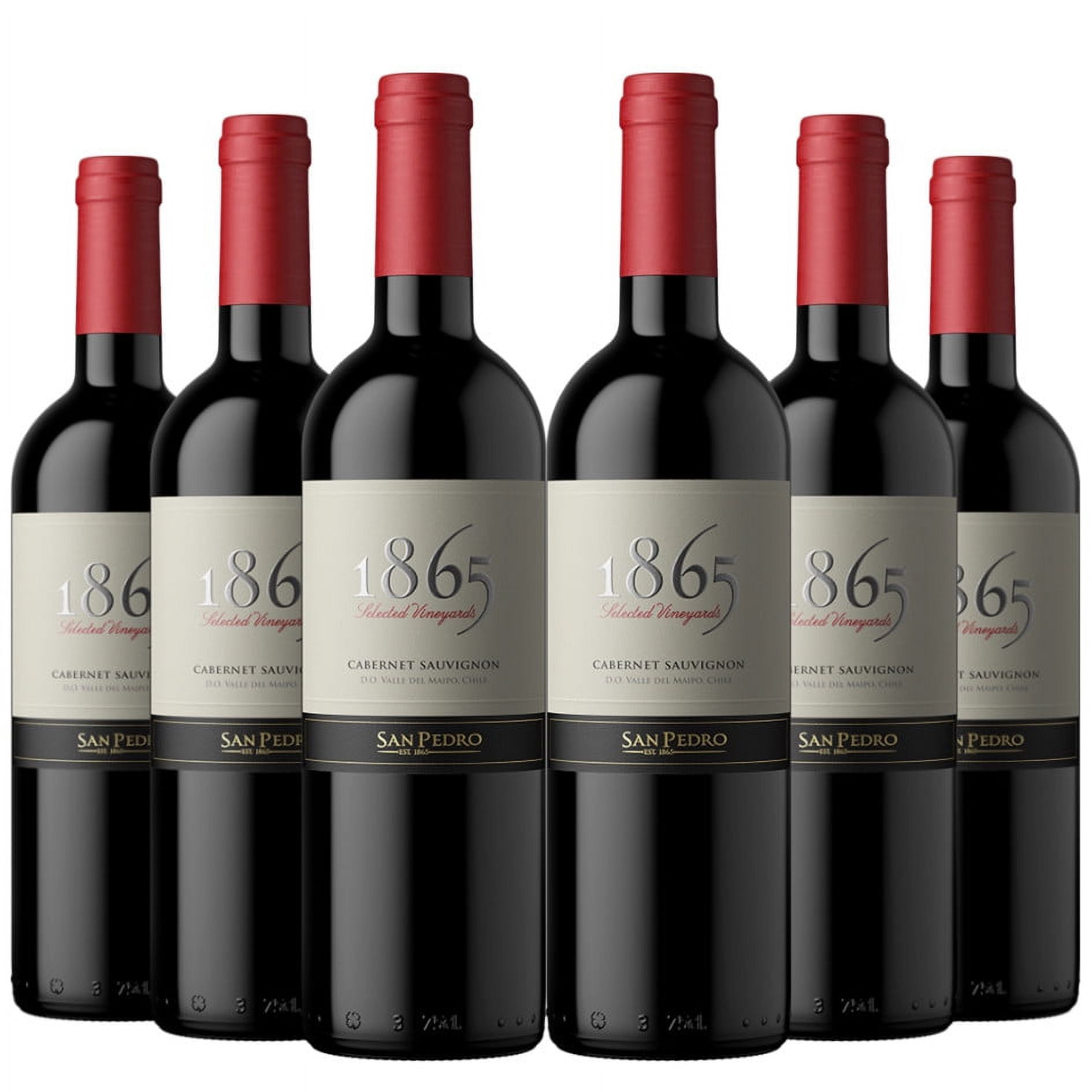 6 Vinos 1865 Cabernet Sauvignon, 750 ml, 14.5% | Lider